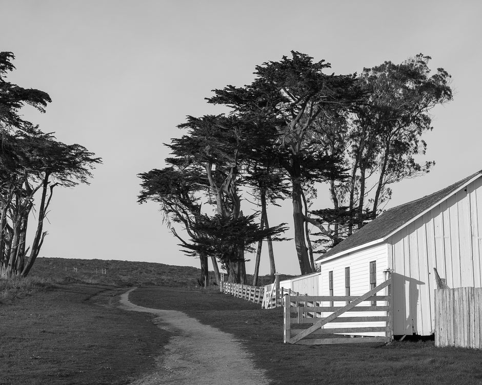 Point Reyes National Seashore – Cardelucci
