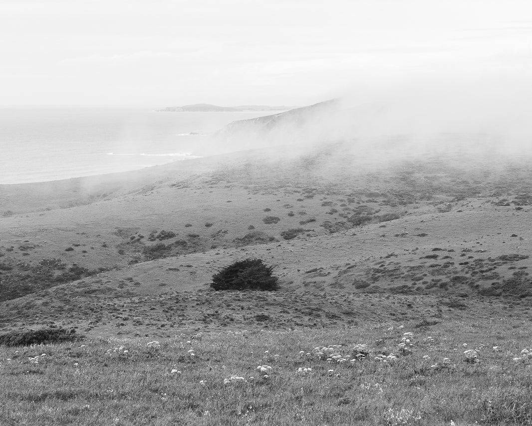 Point Reyes National Seashore – Cardelucci