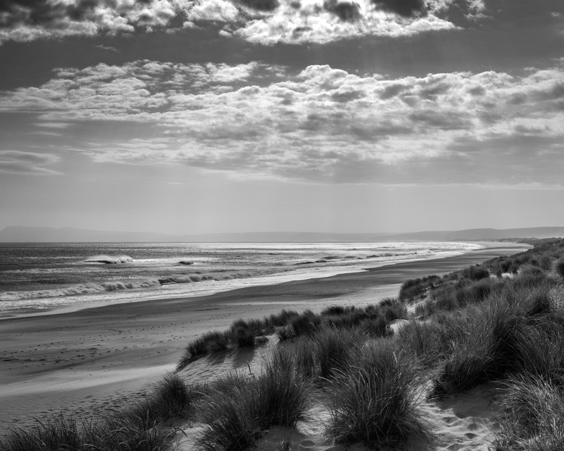 Limantour Beach – Photography Print – Point Reyes Ntl. Seashore ...